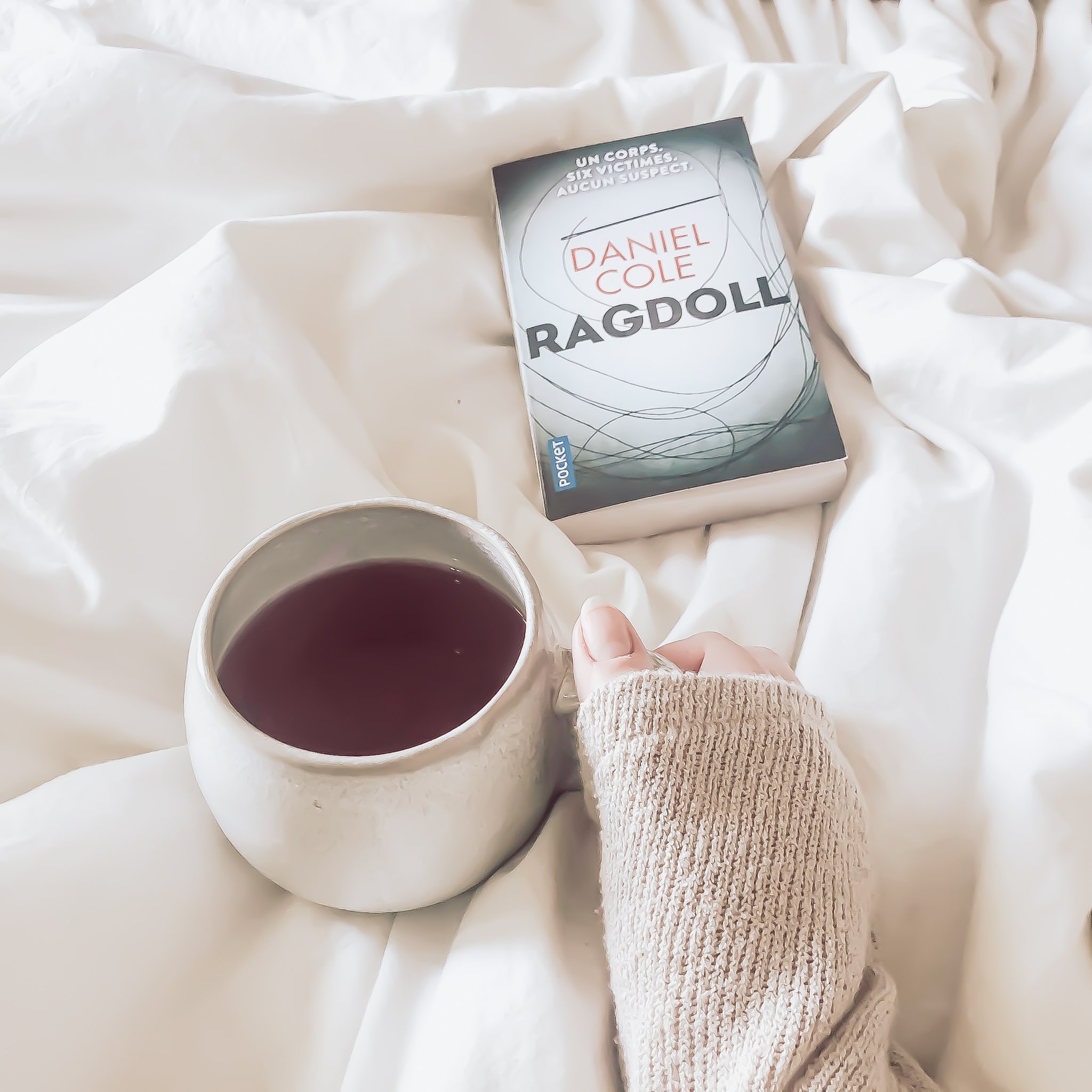 Chronique littéraire : Ragdoll, Daniel Cole | Pomme de pin